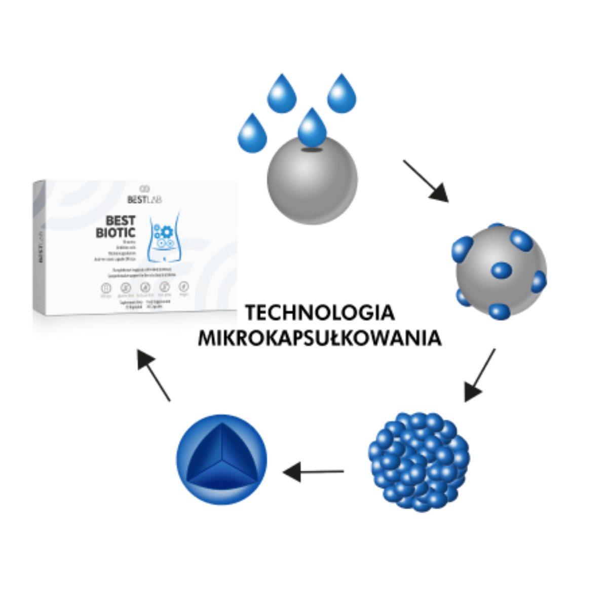 BestBiotic Probiotyk Kompleksowe Wsparcie Mikrobioty Jelitowej ...