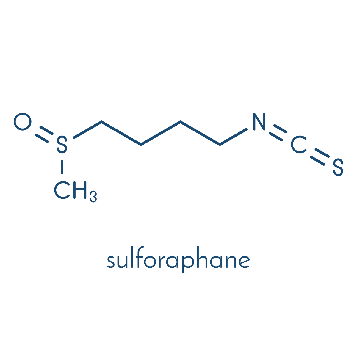 Sulforafan 400 mcg z Kiełków Brokułu BroccoPhane® Standaryzowany (100 ...