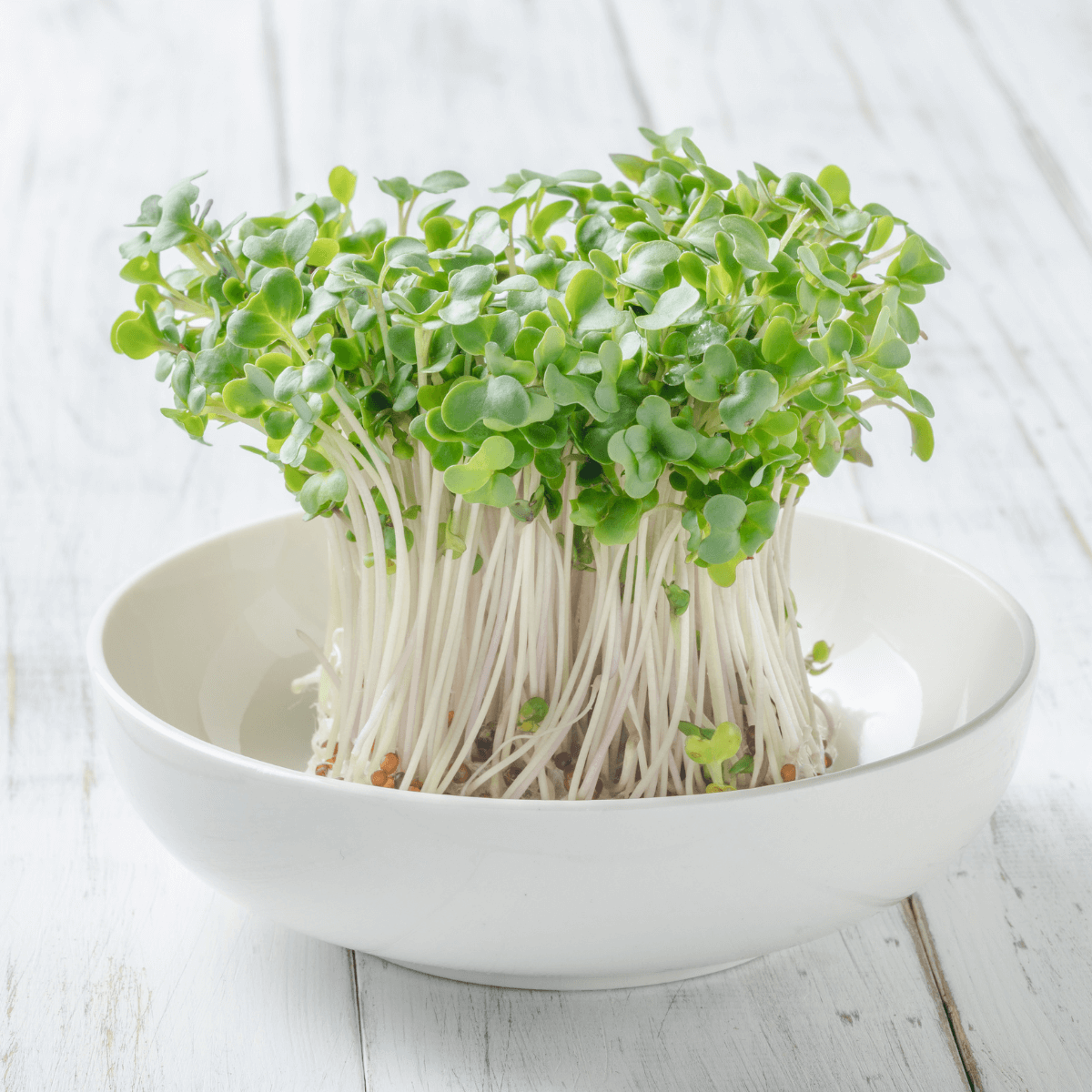 Sulforafan 400 mcg z Kiełków Brokułu BroccoPhane® Standaryzowany (100 ...